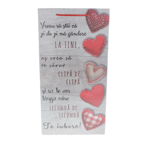 Tablou mesaj de dragoste clipa de clipa 50cm