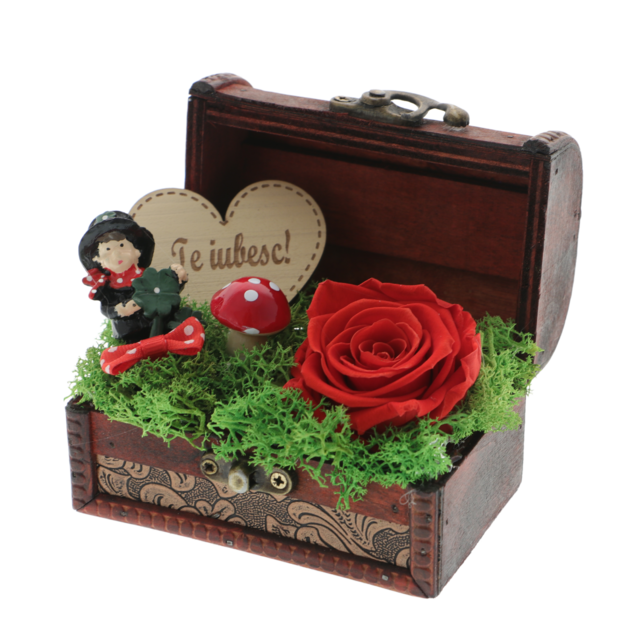 Trandafir criogenat rosu in cufar cu cosar Te iubesc